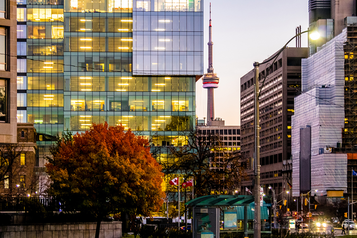 28 Cozy Things To Do This November In Toronto