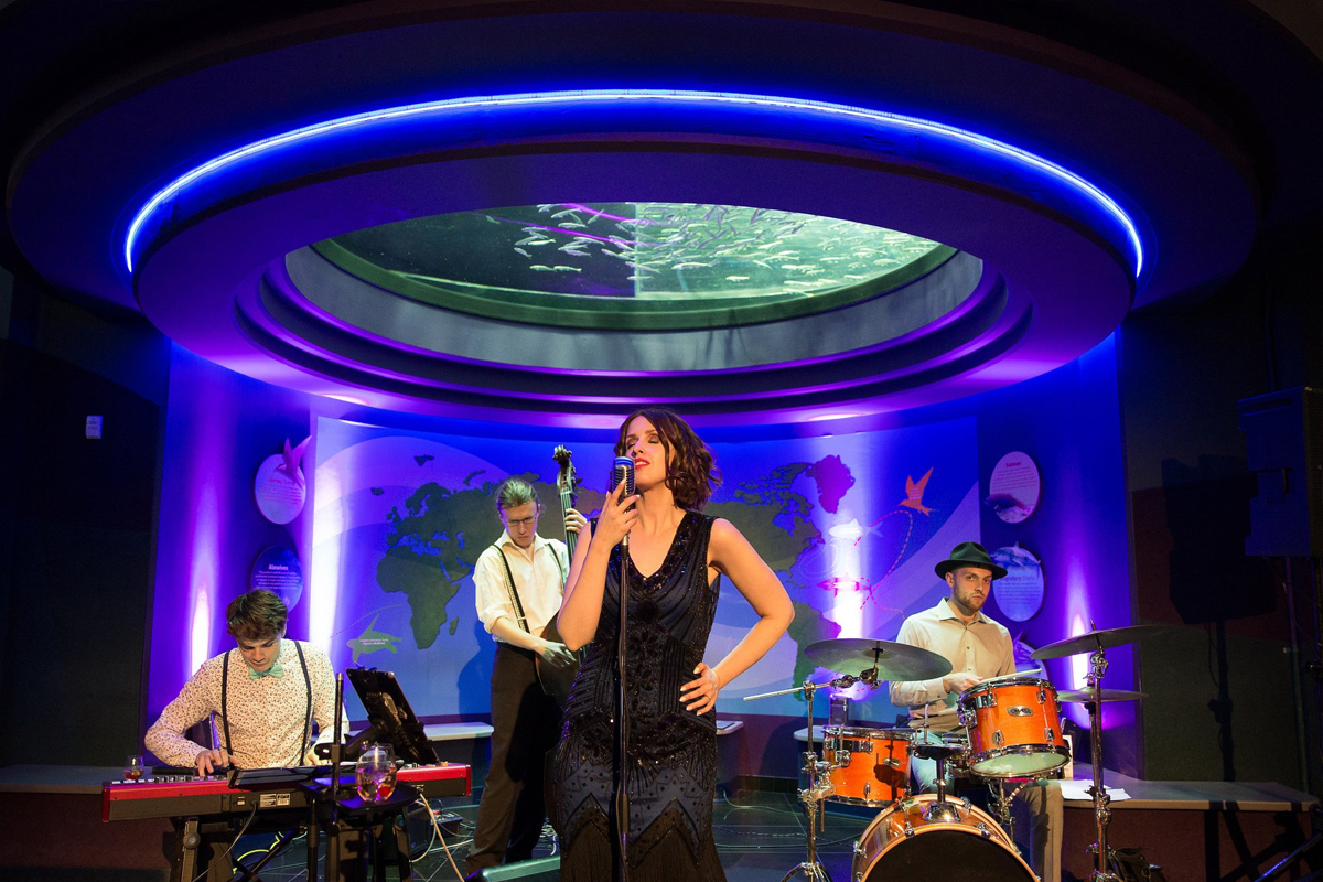 32 Fantastic Things To Do In Toronto This February