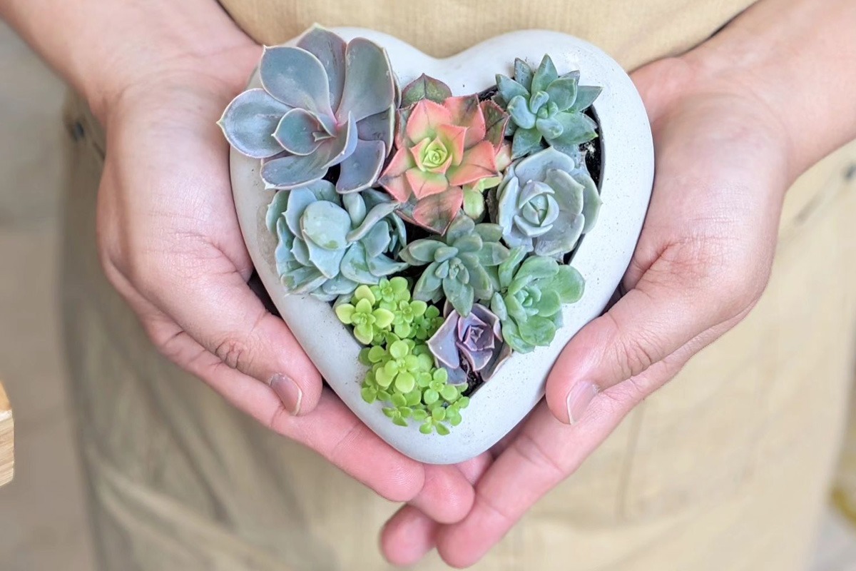 22 Lovely Things To Do This Valentine's Day In Toronto