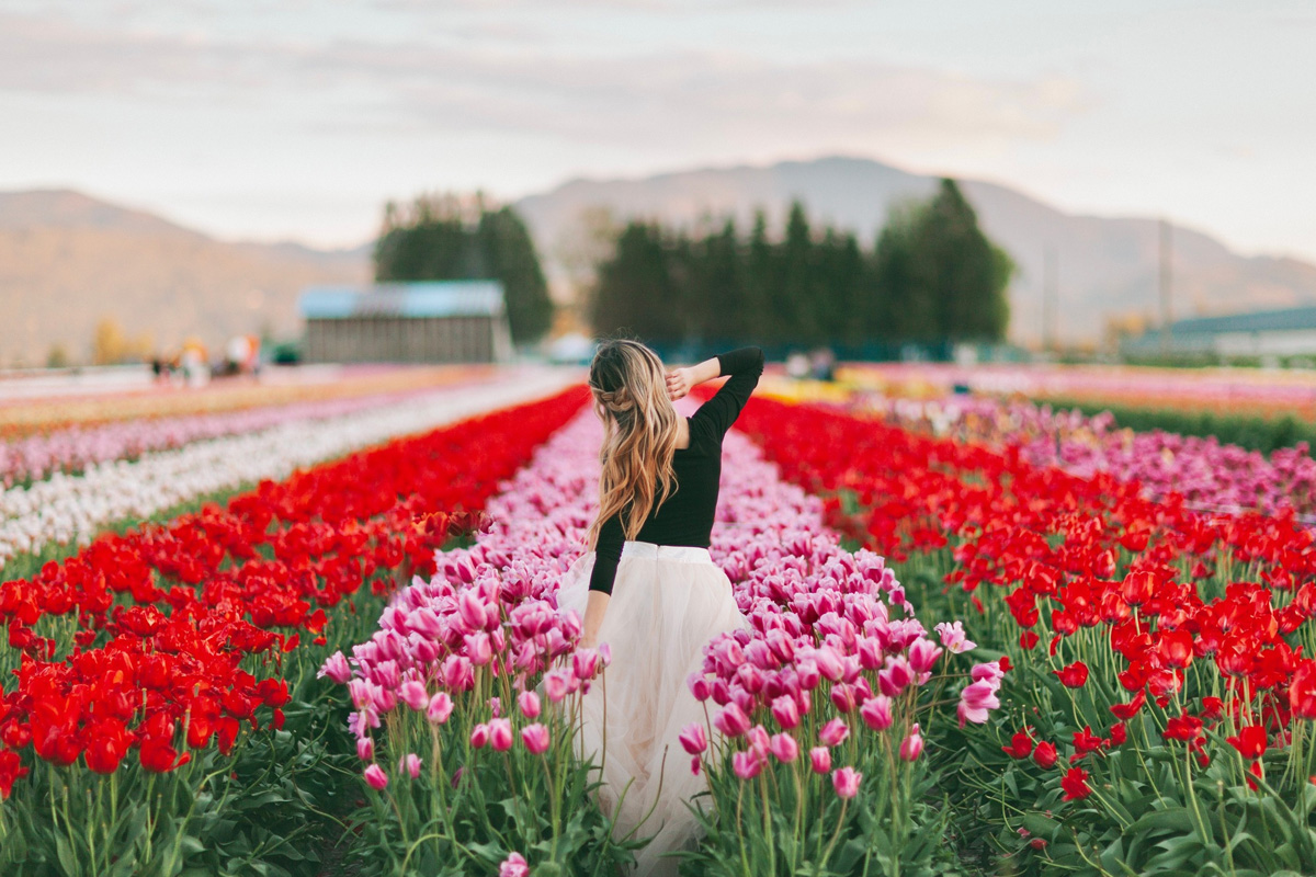 This Dreamy Farm With Over 3 Million Tulips Is The Perfect Spring Day ...