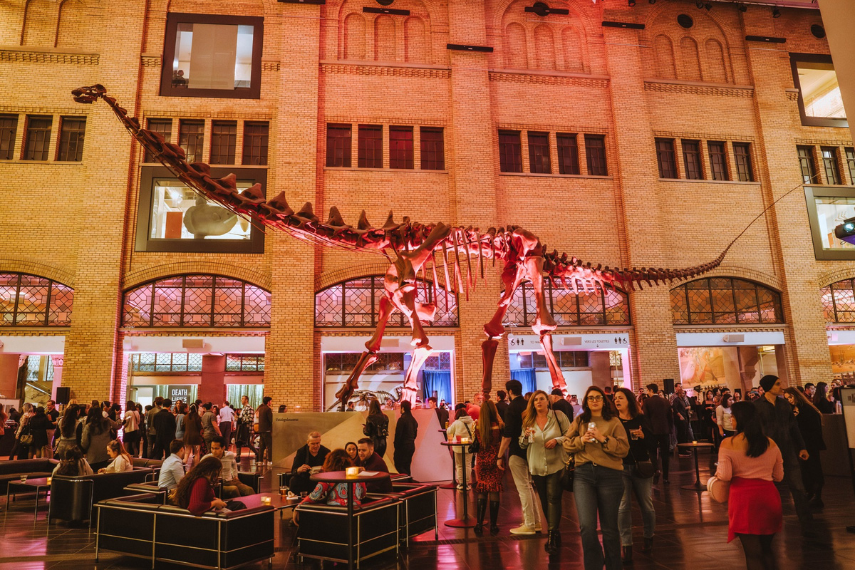 You Can Visit The ROM In Toronto For Free All Weekend