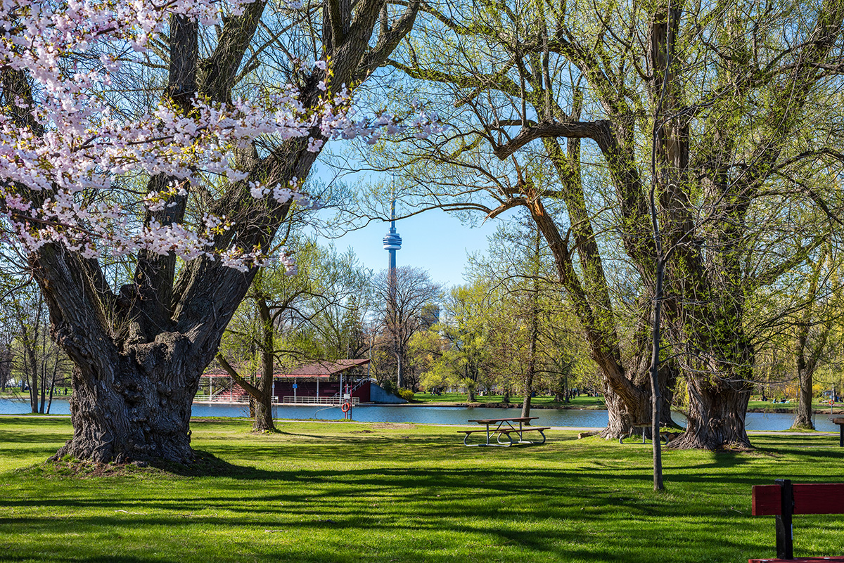 13 Amazing Things To Do In Toronto This April