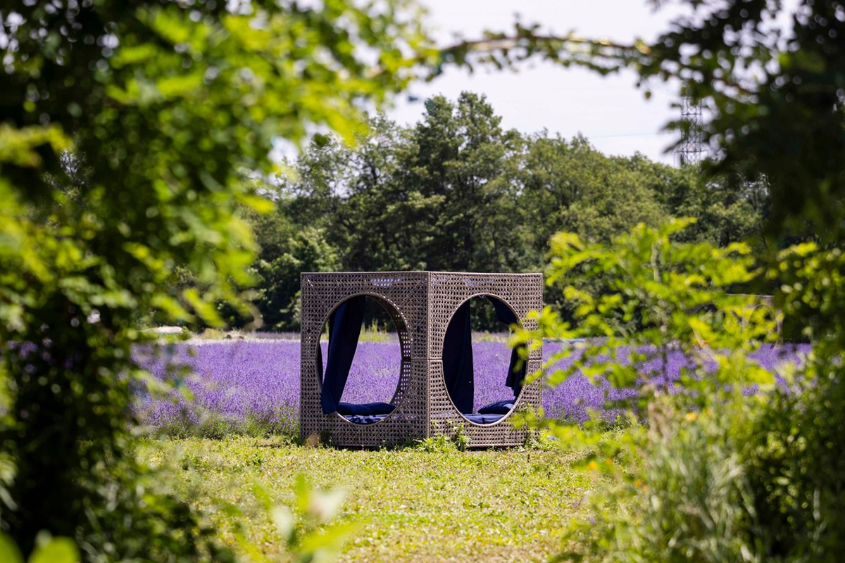 35 Amazing Things To Do This August In Toronto