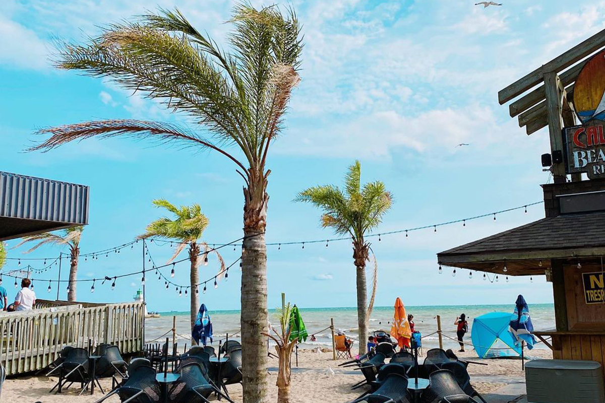 This "Tropical" Beach With Real Palm Trees Is Just 2 Hours From Toronto