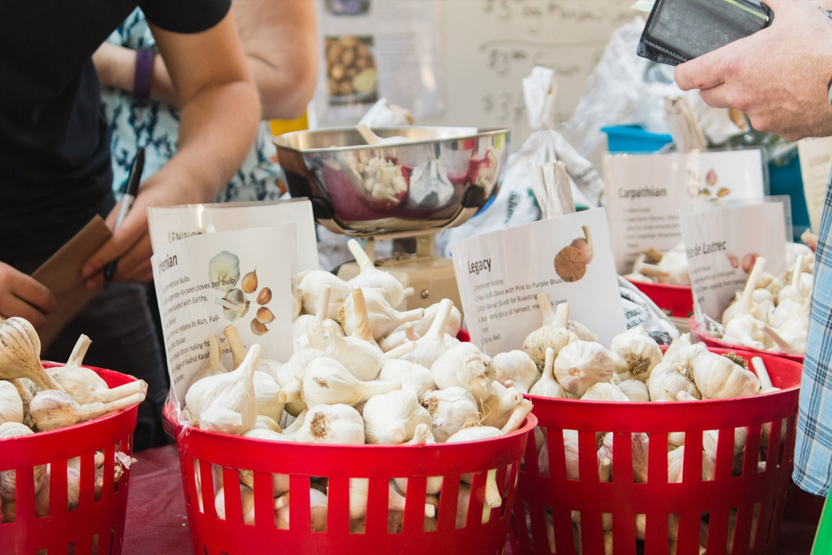 A Huge Garlic-Themed Festival Is Happening In Toronto This Fall