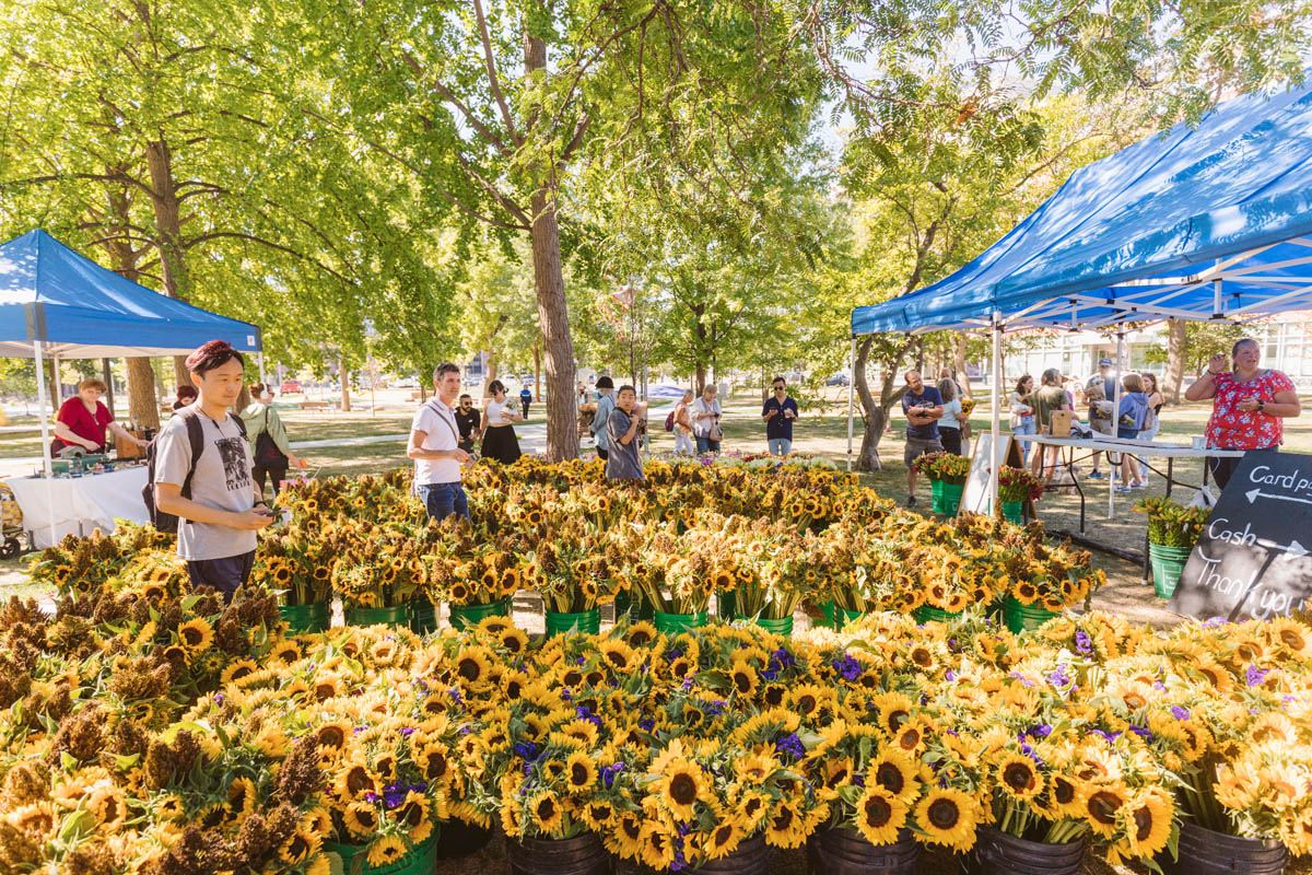 43 Amazing Things To Do This August In Toronto