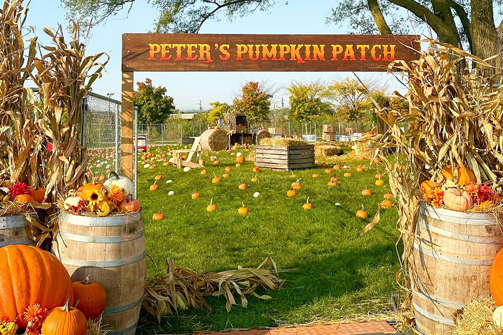 A Pumpkin Festival With Unlimited Rides And Games Is Coming To Toronto ...