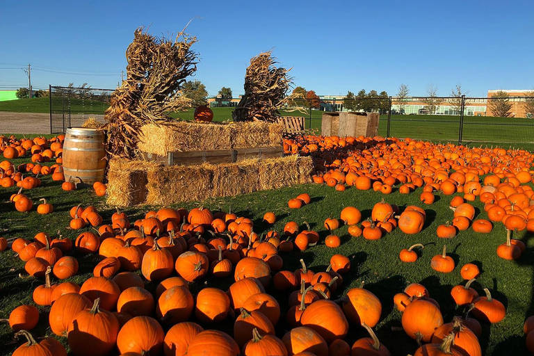 30 Enchanting Things To Do This October In Toronto