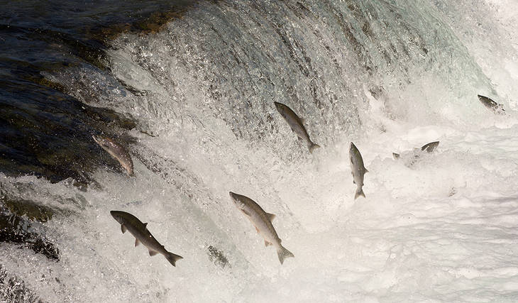 Secret Toronto - Your Complete Guide To Things To Do In Toronto