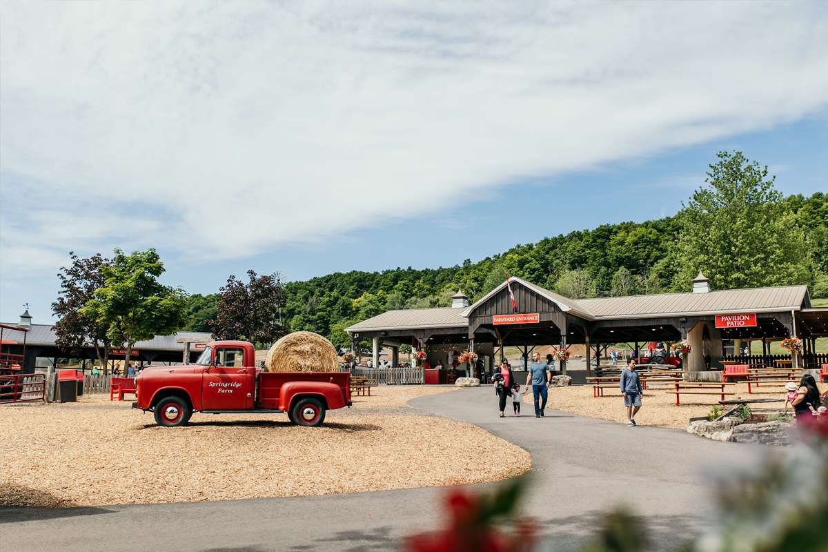 Five Charming Pumpkin Patches Near Toronto To Add To Your Fall Bucket List