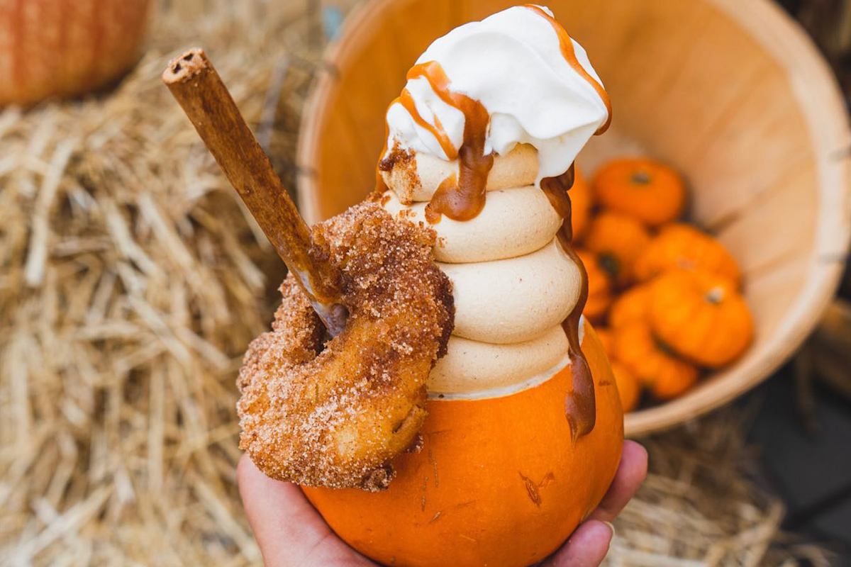 Five Charming Pumpkin Patches Near Toronto To Add To Your Fall Bucket List