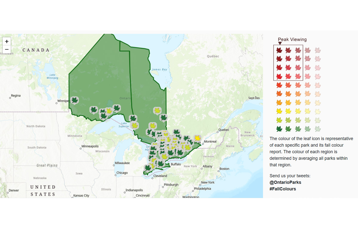 Here's When You Can See Fall Colours At Their Peak In Ontario