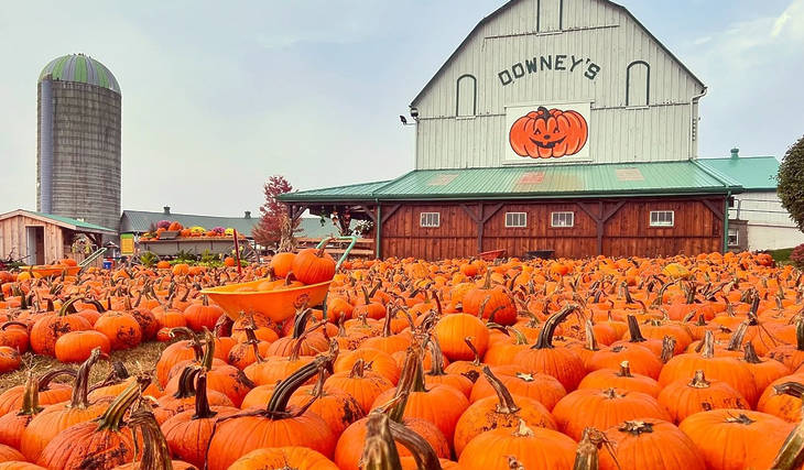 Secret Toronto - Your Complete Guide To Things To Do In Toronto