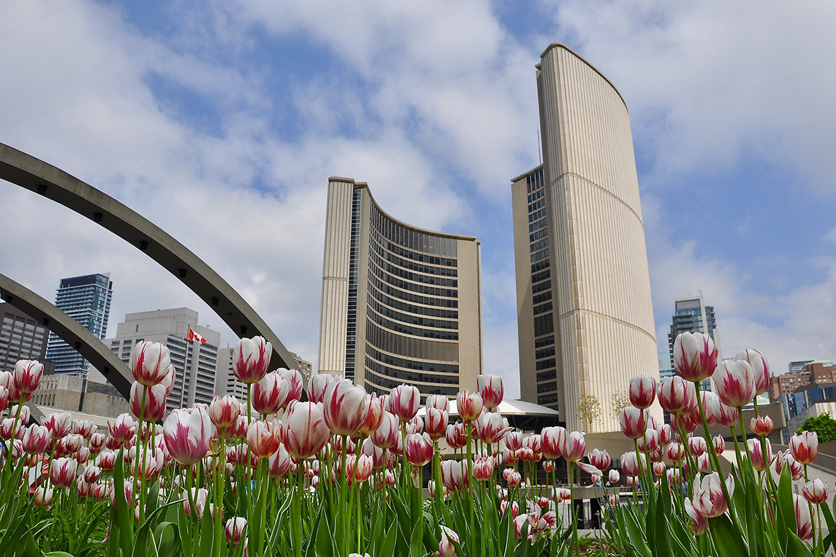 Things To Do In Toronto This Weekend: May 9 - 11, 2025