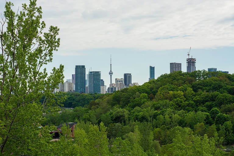 15 Fun Outdoor Activities To Do In Toronto This Summer