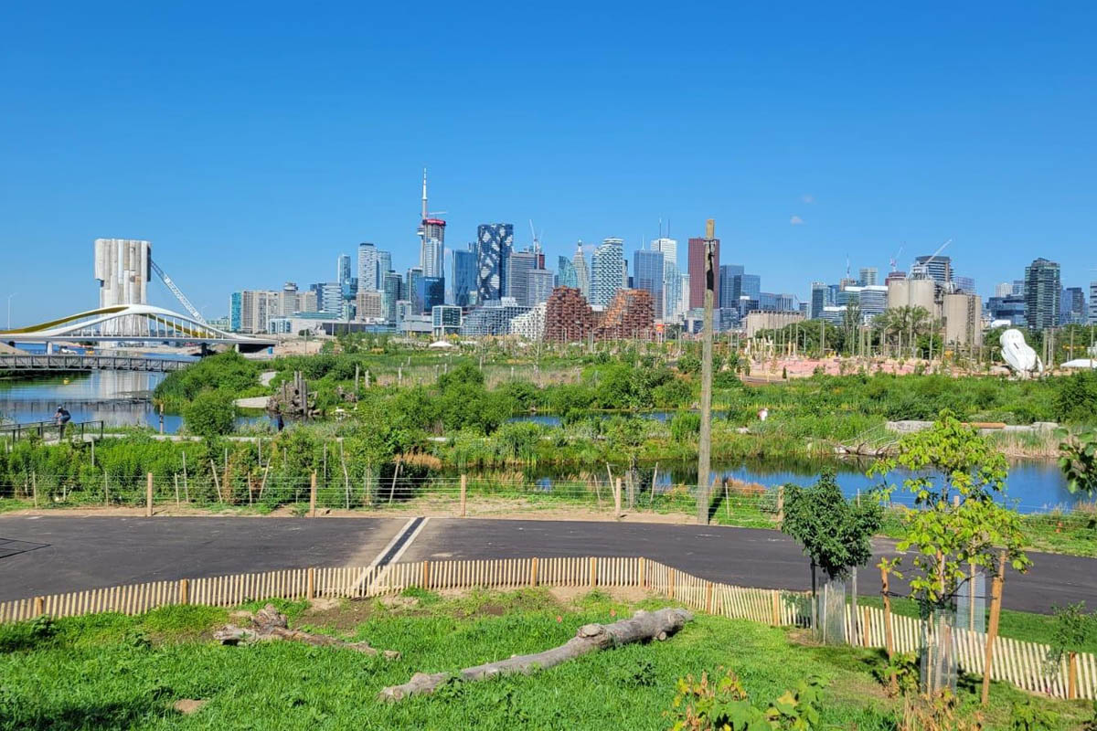 Toronto Just Opened A Massive New Park On A Man-Made Island