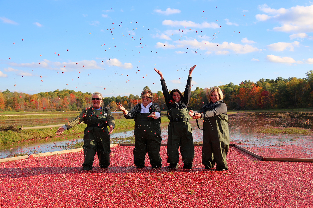 Just Two Hours From Toronto, You Can Plunge Into A Pool Of Cranberries ...
