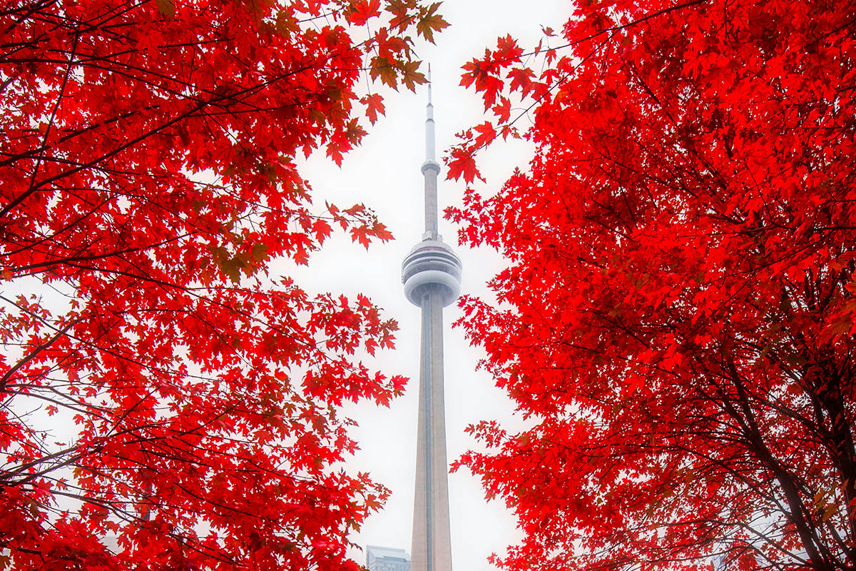 This Interactive Map Shows When Toronto Will See Its Brightest Fall Colours