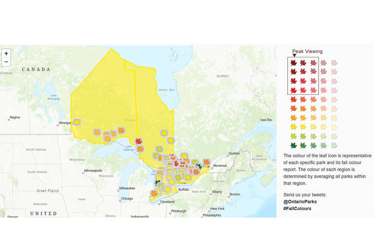 This Interactive Map Shows When Toronto Will See Its Brightest Fall Colours