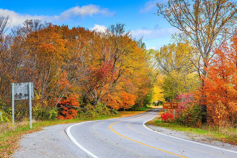 5 Scenic Fall Road Trips From Toronto To See The Best Autumn Colours