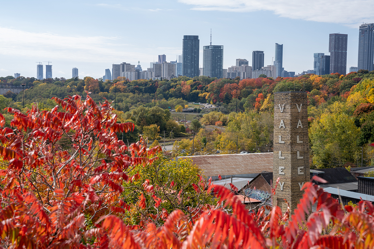 Where To See The Best Fall Colours In Toronto This Season