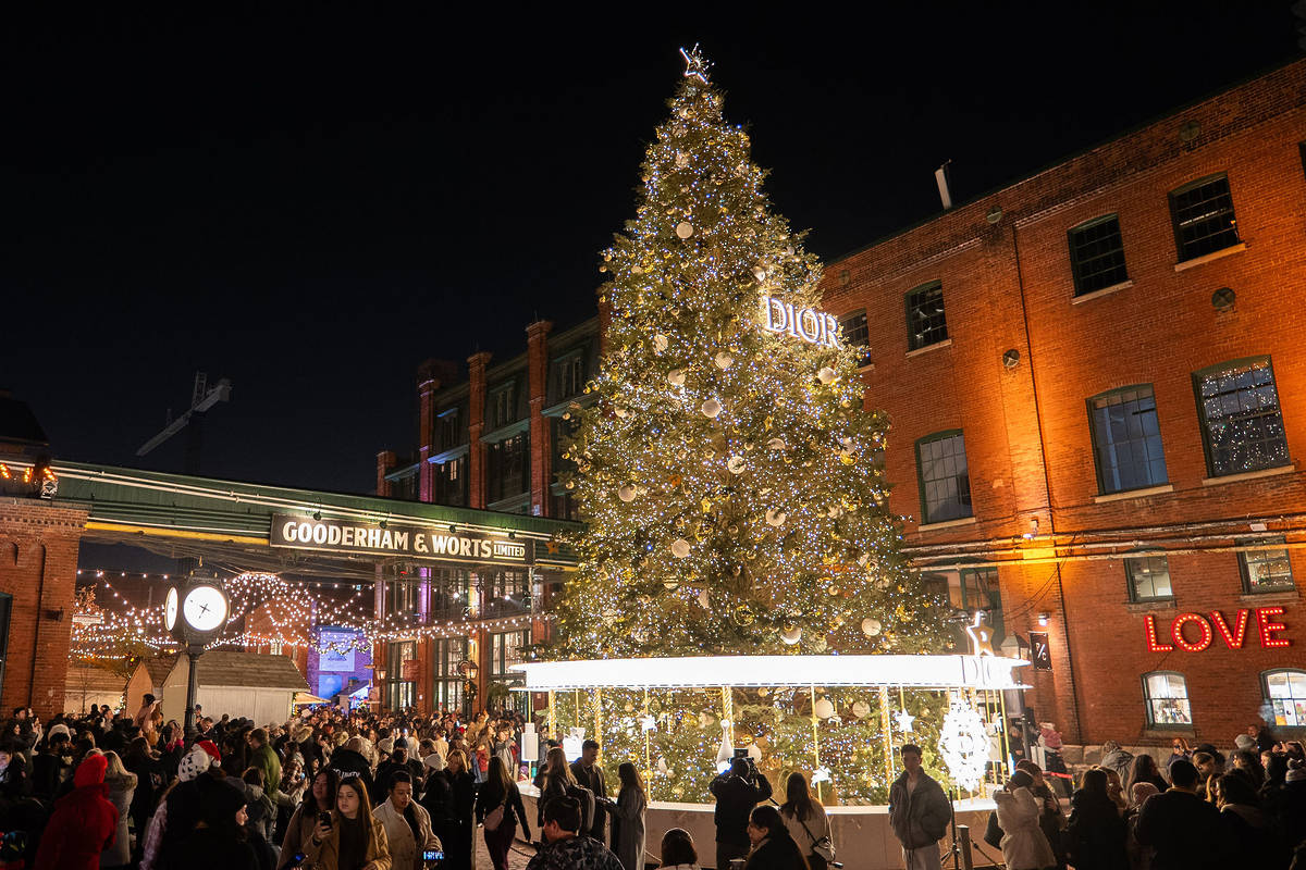 Canada’s Most Iconic Christmas Tree Lights Up Toronto In A Dazzling ...
