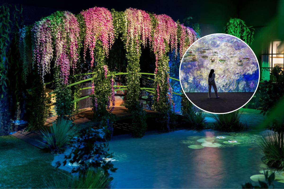 This Immersive Monet Exhibit Just Landed In Toronto — And It Features A ...