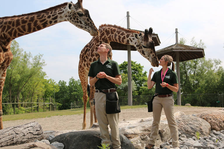The Toronto Zoo Just Welcomed a 6-Foot-Tall Baby Giraffe - And Her ...