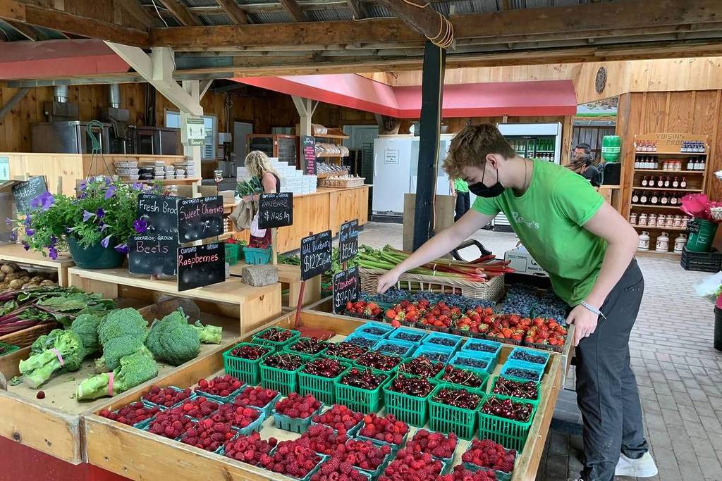 7 strawberry farms near Toronto for pick-your-own berries