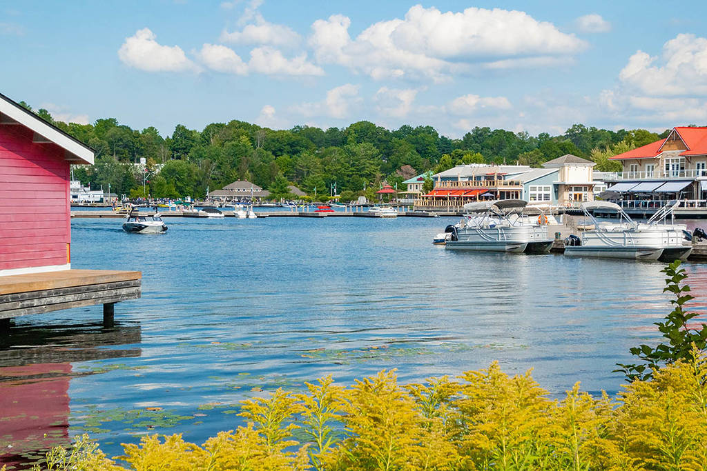 A new low-cost bus service connects Toronto directly to Muskoka and ...