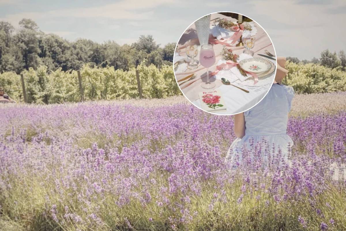 This lavender farm near Toronto is worth visiting this summer