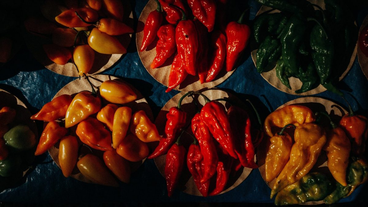 Have You Been To This Insane Hot Sauce Tasting Bar In Kits Yet?