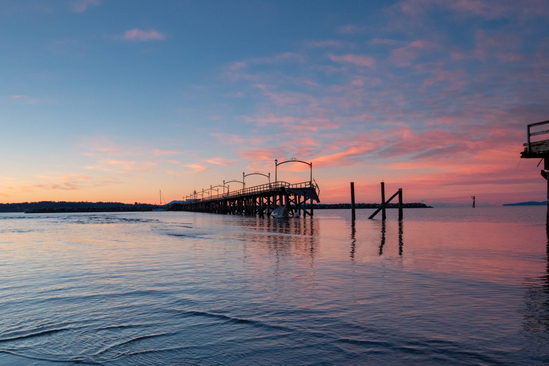 The Mesmerizing Bright Walk Light Show In White Rock Closes Next Week