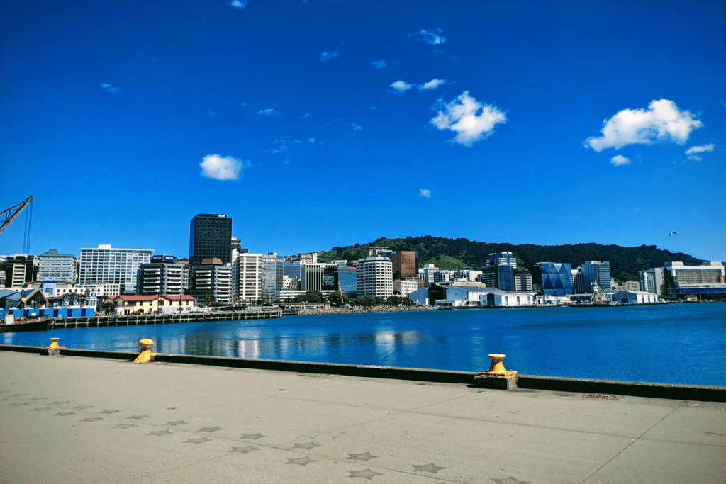 8 Lovely Places For Picnics In Wellington This Season