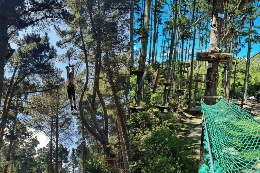 19 Of The Best Warmer Weather Activities To Do Around Wellington