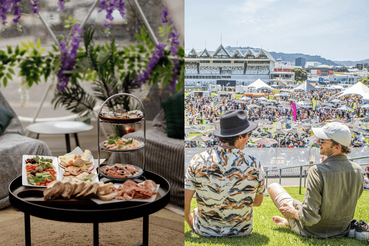 23 Epic Things To Do This November 2022 In Wellington