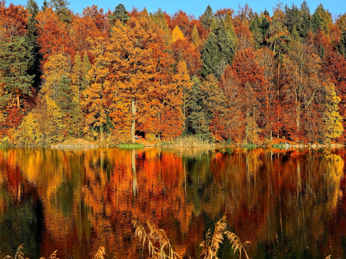 4 Urlaubstipps für den goldenen Herbst in der Schweiz