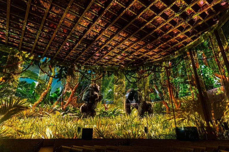 Pixel Zoo Jungle – Eine audiovisuelle Reise in das ultimative Dschungel ...
