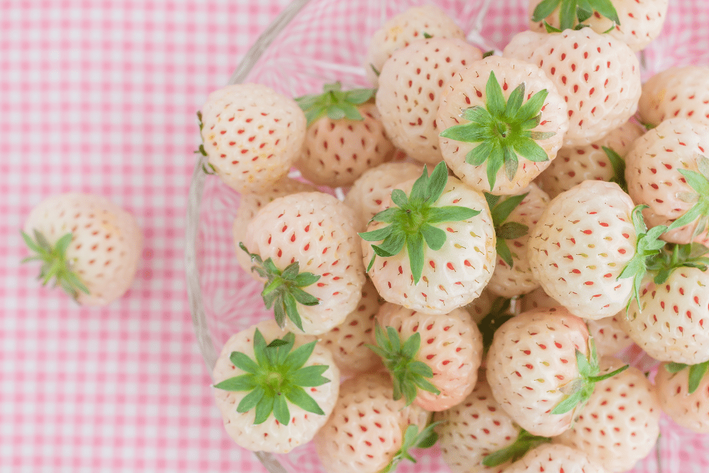 Tendance food : les fraises blanches goût ananas, à cultiver chez soi