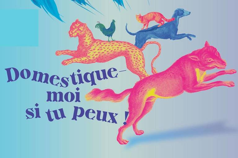 Must-see exhibitions in Toulouse at the moment