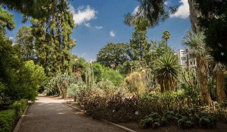 Top 10 Most Beautiful Parks And Gardens In Valencia