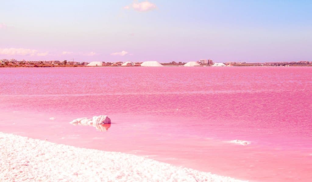 La laguna rosa de Torrevieja: un espectáculo visual - Valencia Secreta