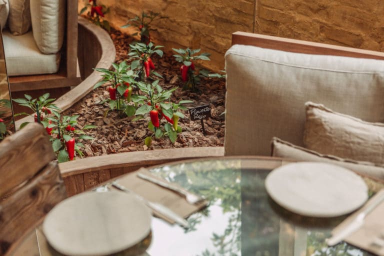 Begin: el restaurante de Valencia con un huerto propio