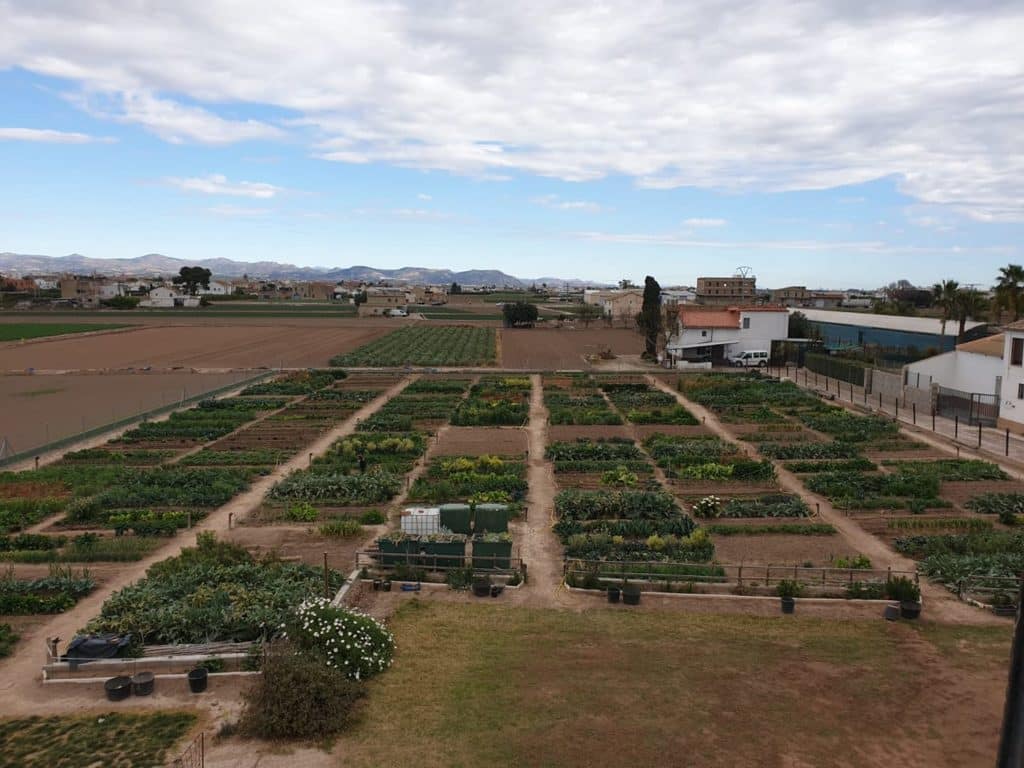 Huertos urbanos de Valencia donde puedes plantar tus verduras