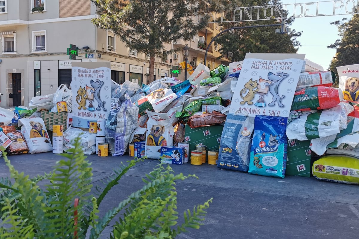 Valencia organiza esta semana una recogida de alimentos solidaria para ...