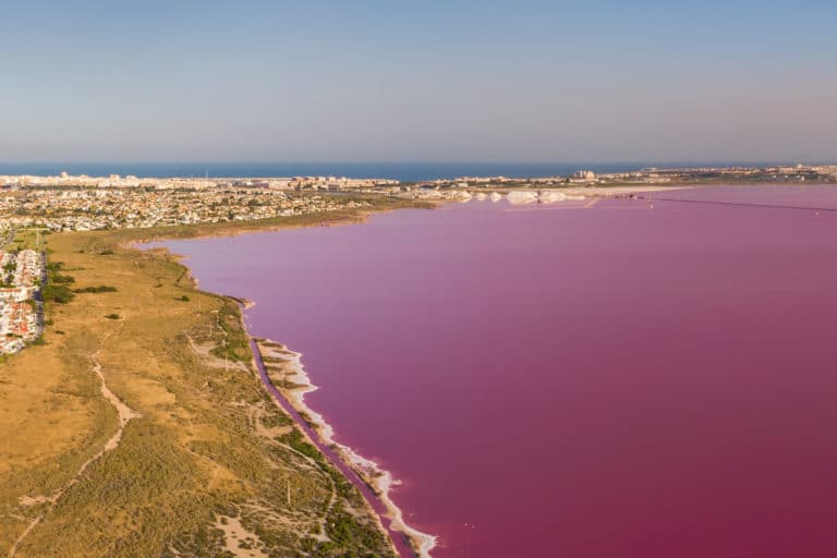 La Laguna Rosa: un espectáculo visual de la Comunitat