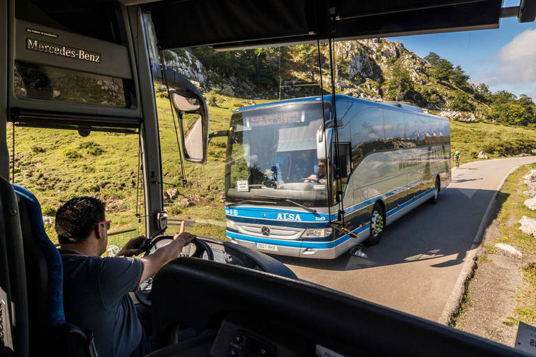 Cómo viajar gratis en autobús por España en 2024: así son los bonos ...