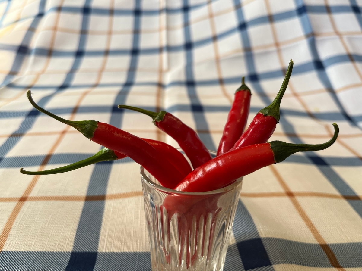 The Biggest Spicy Fair In Europe Returns To Valencia