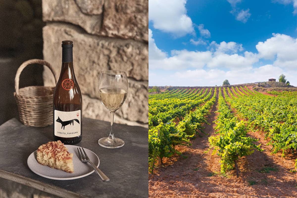 The Valencian wine from Requena-Utiel that is silver medal: costs less ...