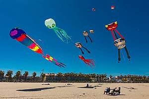 The best things to do in April in Valencia